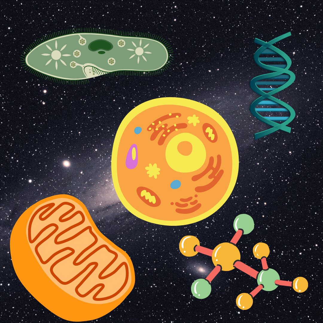 Astronomia Descomplicada